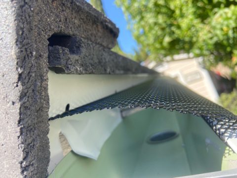 Leaf Screens | 805 Gutters